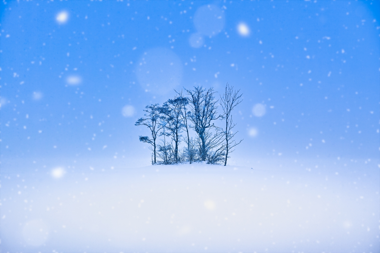 「静かなる開演」 / Quiet opening. | 物語へと続く1ページ